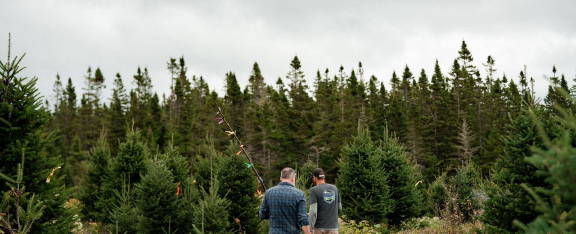 About Porter River – Porter River Christmas Trees | Calgary & Central ...